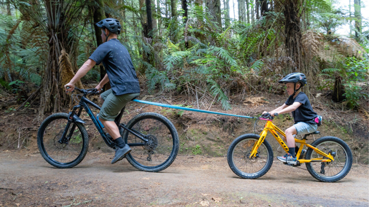 5 Best Tag Along Bikes And Bike Towing Options in 2022 - Free Range ...
