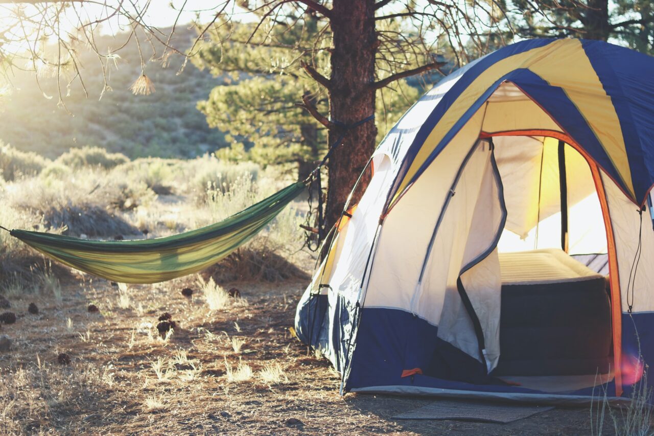 11 Camping Zoom Backgrounds For Your Next Conference Call - Free Range ...